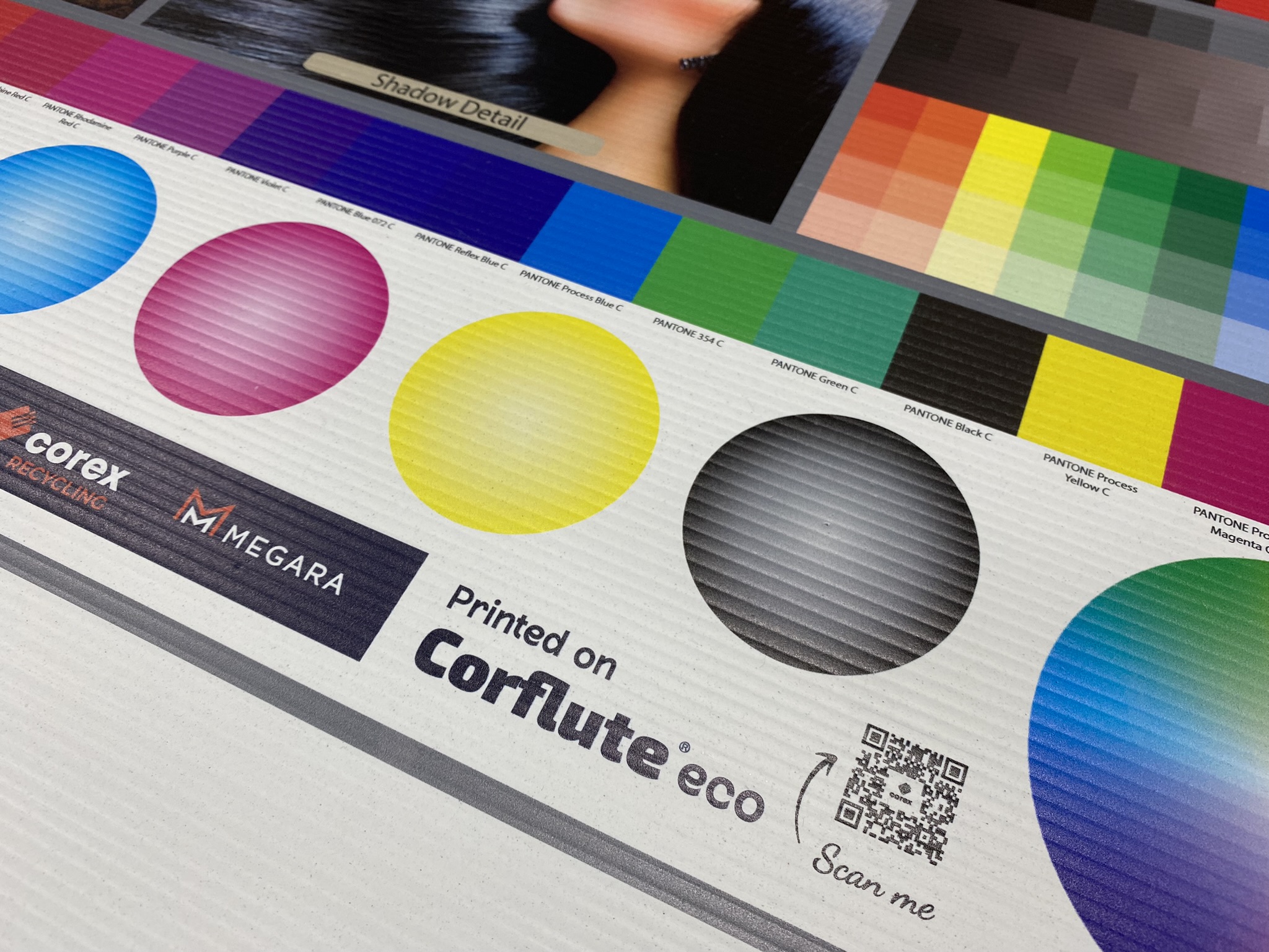 Buy Recycled Corflute® eco | Corex