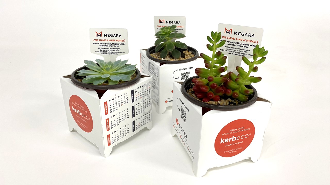 Megara has a new home! | Corex