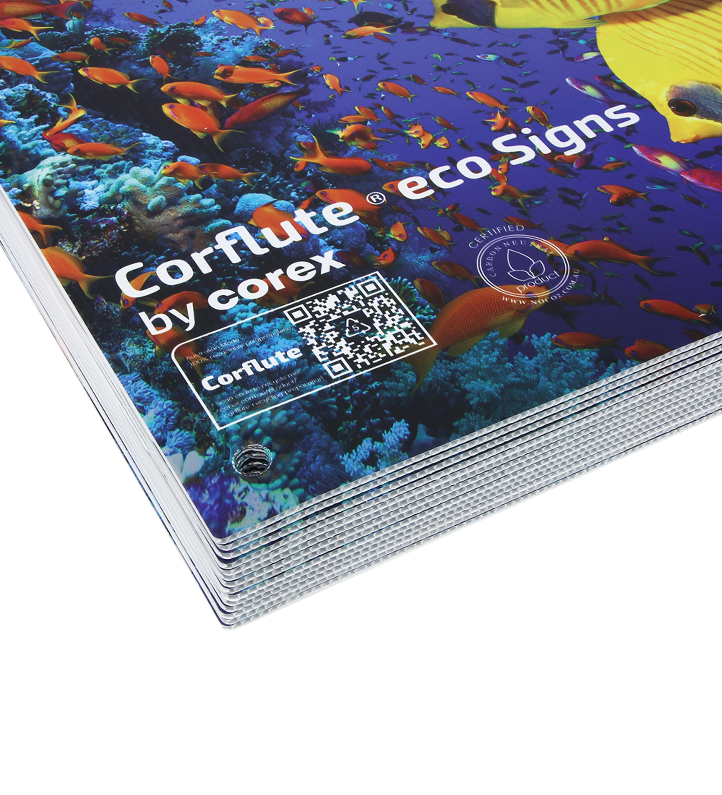 Buy Genuine Corflute® Election Signs | Corex
